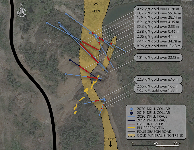 The Blueberry Zone | Scottie Resources Corp.